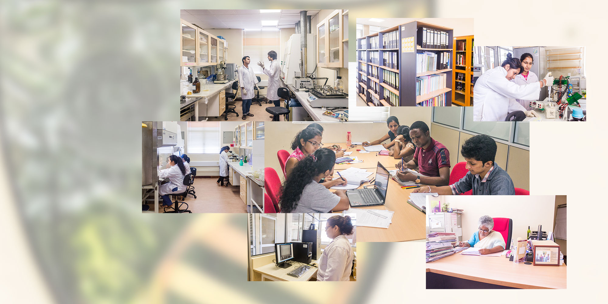 Institute of Biochemistry, Molecular Biology and Biotechnology ...